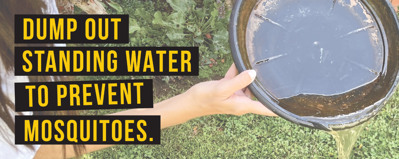 Vector Control Program