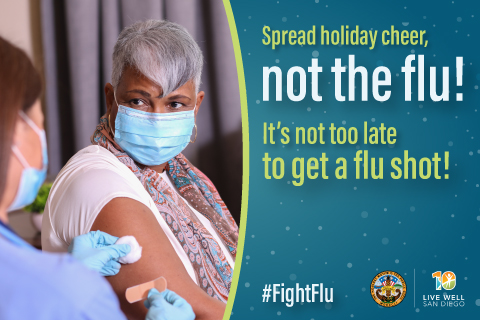 Flu Resources and Materials