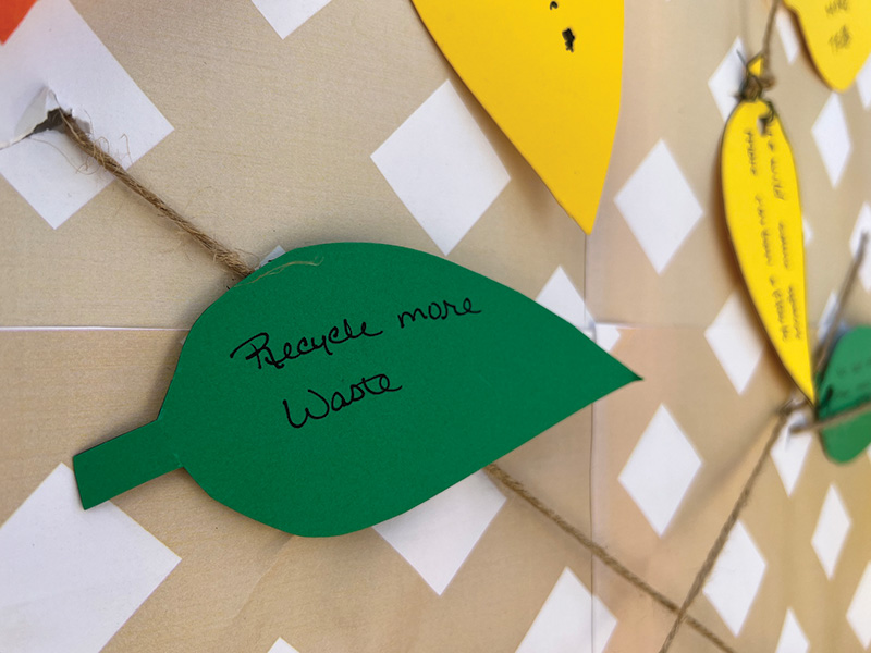 Sustainability and Fighting Climate Change