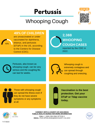 Pertussis