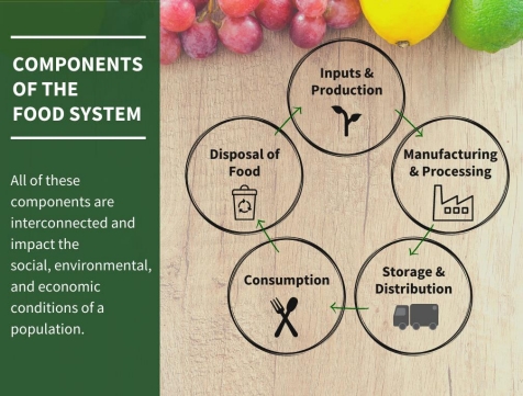 Food System Components Diagram